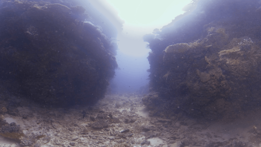 Coral Canyon Passage - Immersive Medium